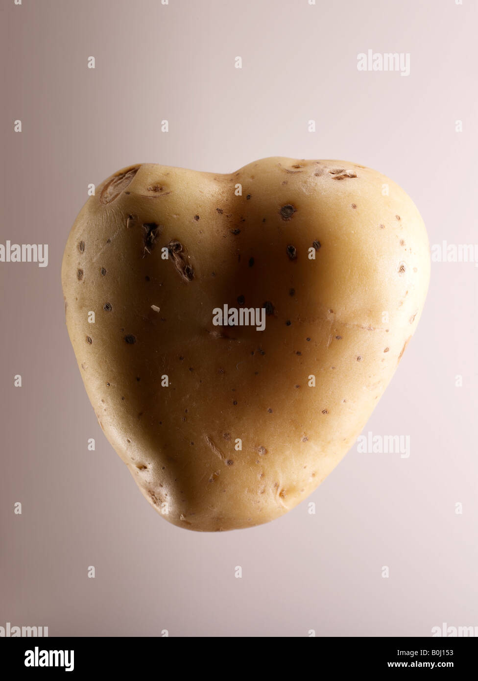 Yam symbol hi-res stock photography and images - Alamy