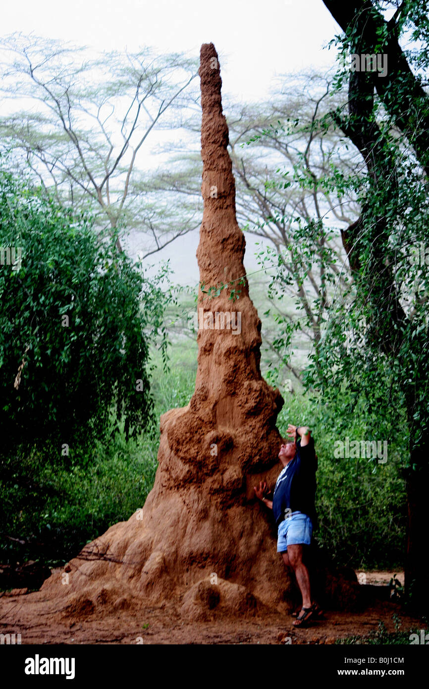Termite tower hi-res stock photography and images - Alamy