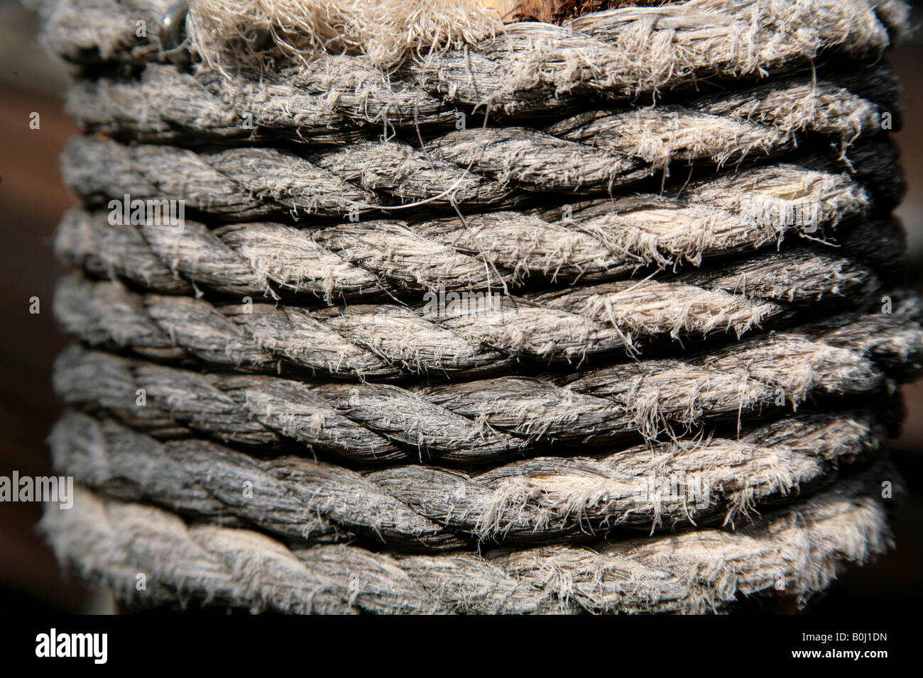 Rope tightly rolled on a wood log Stock Photo - Alamy