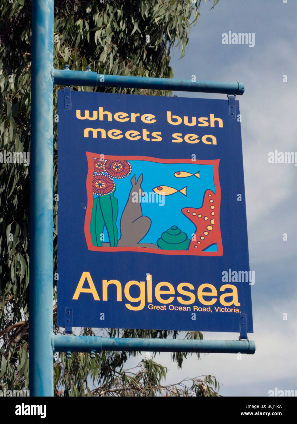 Anglesea australia hi-res stock photography and images - Alamy