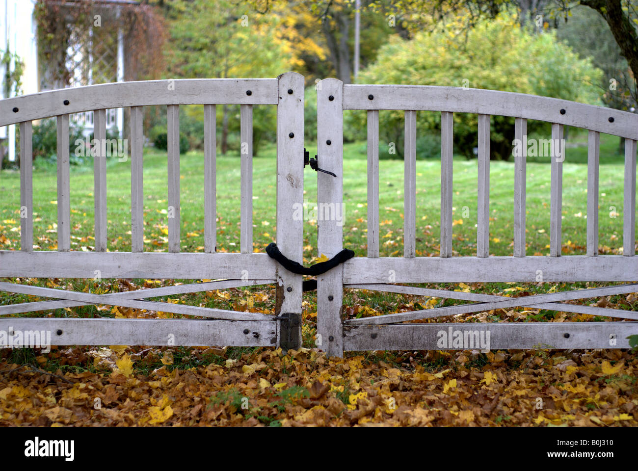 White painted garden gate in autumn Stock Photo - Alamy
