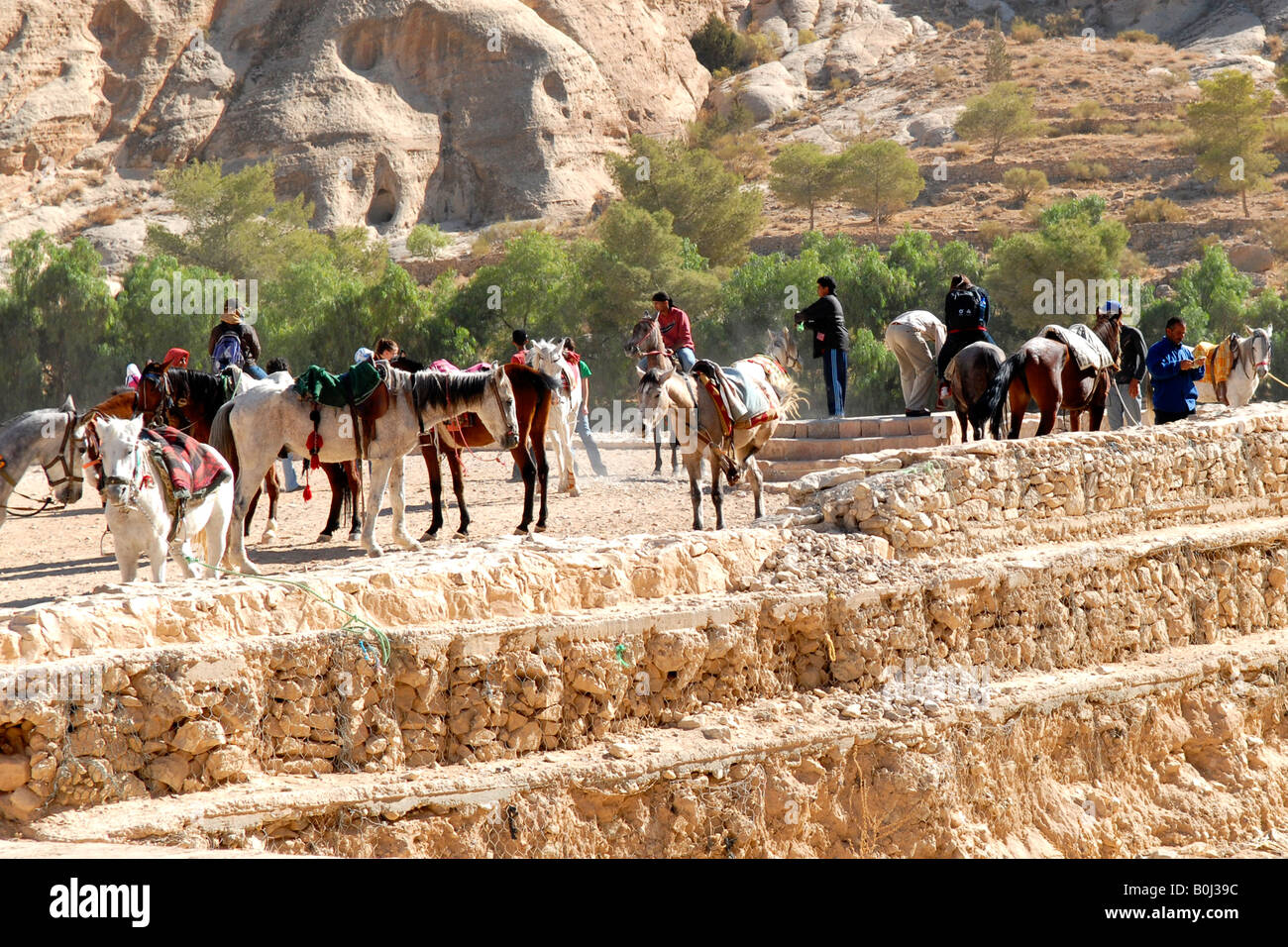Beduin or Bedouin Arab boys with horses wait for tourists to ride down ...