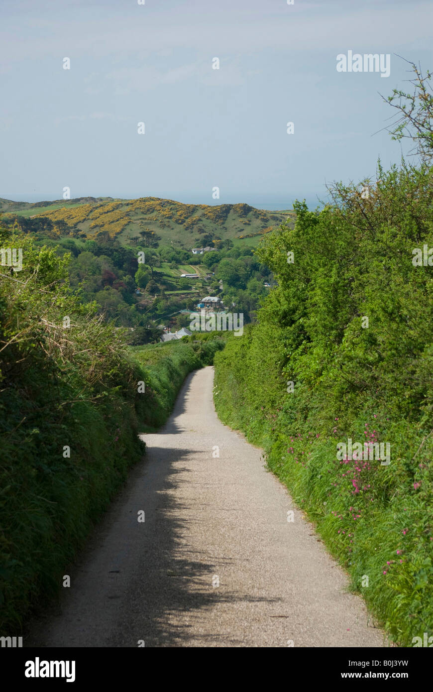 Road leading to Lee, North Devon coast, England Stock Photo - Alamy