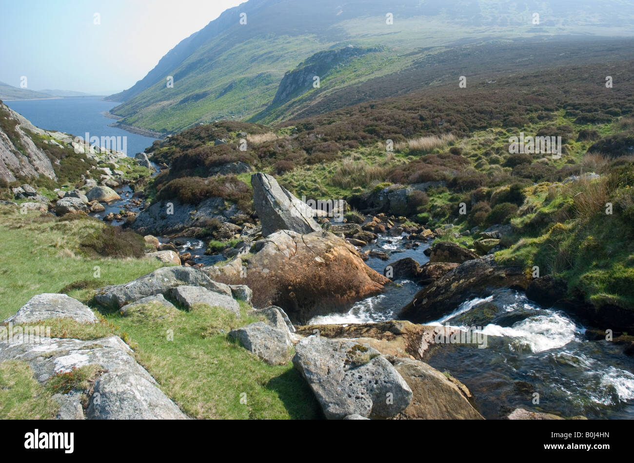 Llyn cowlyd hi-res stock photography and images - Alamy