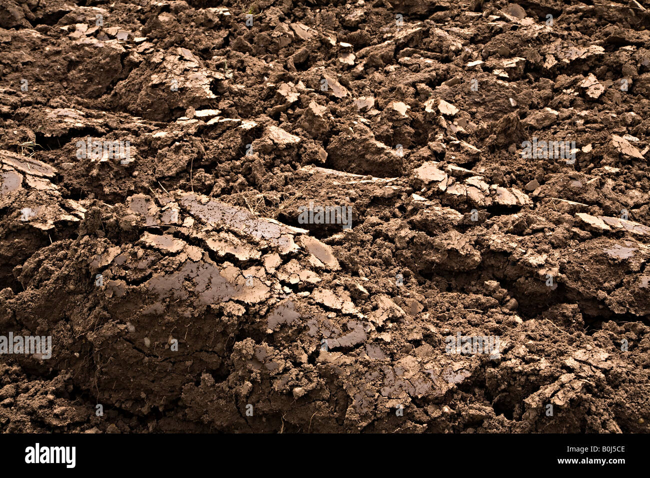 Clay soil field hi-res stock photography and images - Alamy