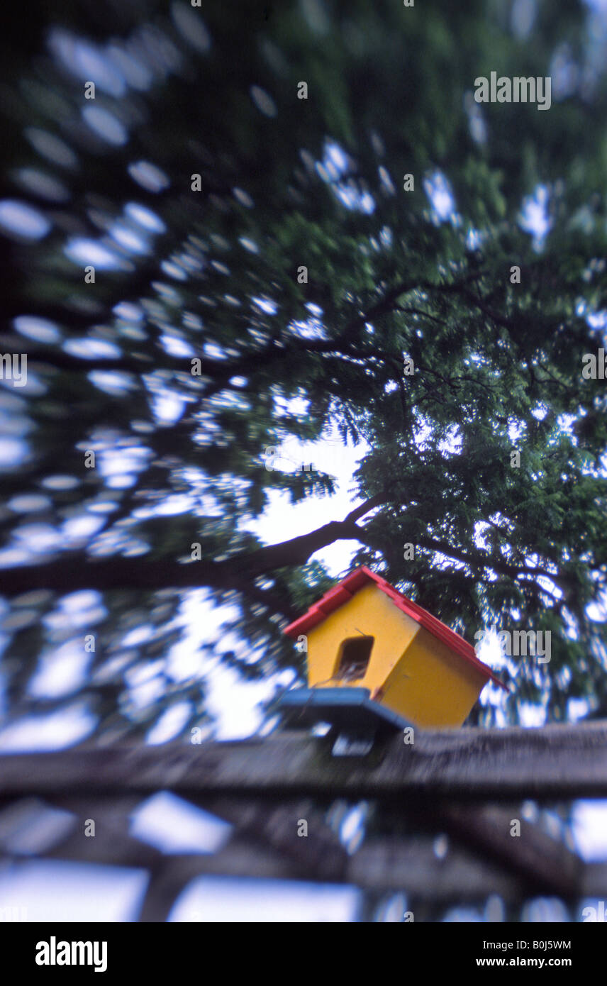 yellow bird house Stock Photo - Alamy