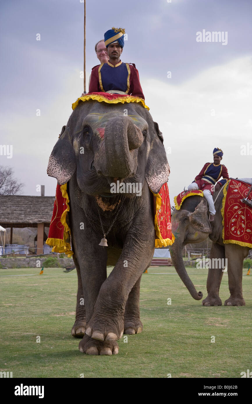 A Happy smiling tourist rides costumed elephant playing elephant polo ...