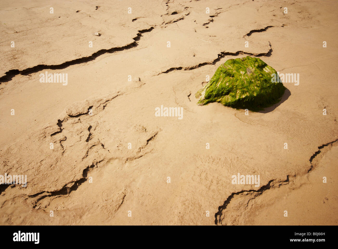The dangerous quick sand and mud of the river Kent Estuary at Arnside ...
