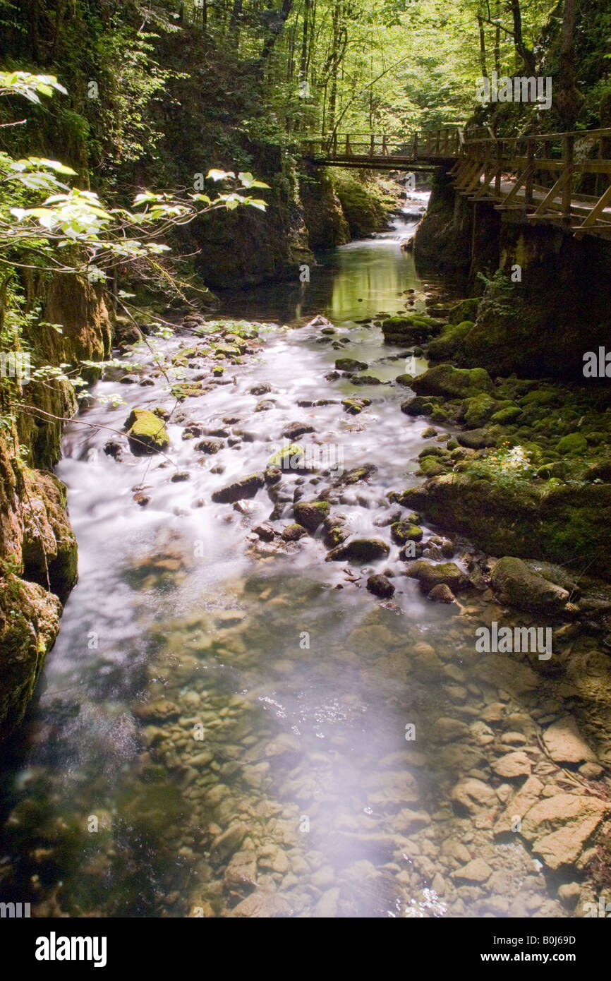 Deep contrast photos hi-res stock photography and images - Alamy