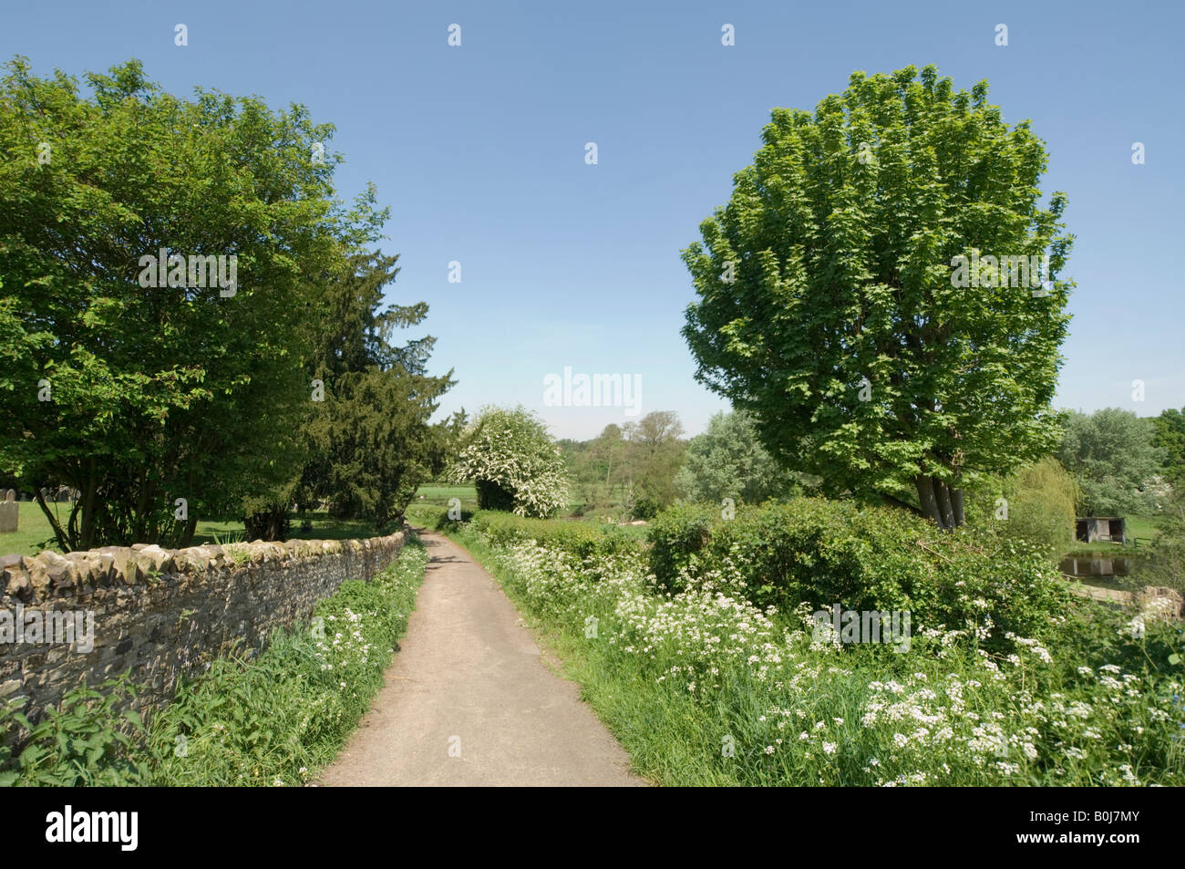 Country lane wildflowers hi-res stock photography and images - Alamy