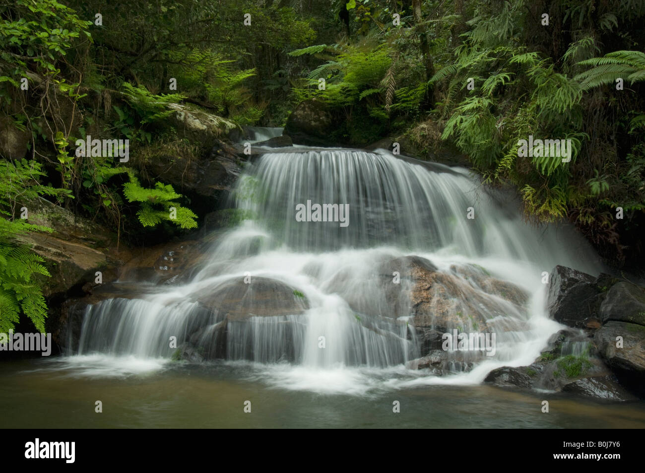 Rainforest waterfall, Mantadia National Park, Madagascar Stock Photo ...
