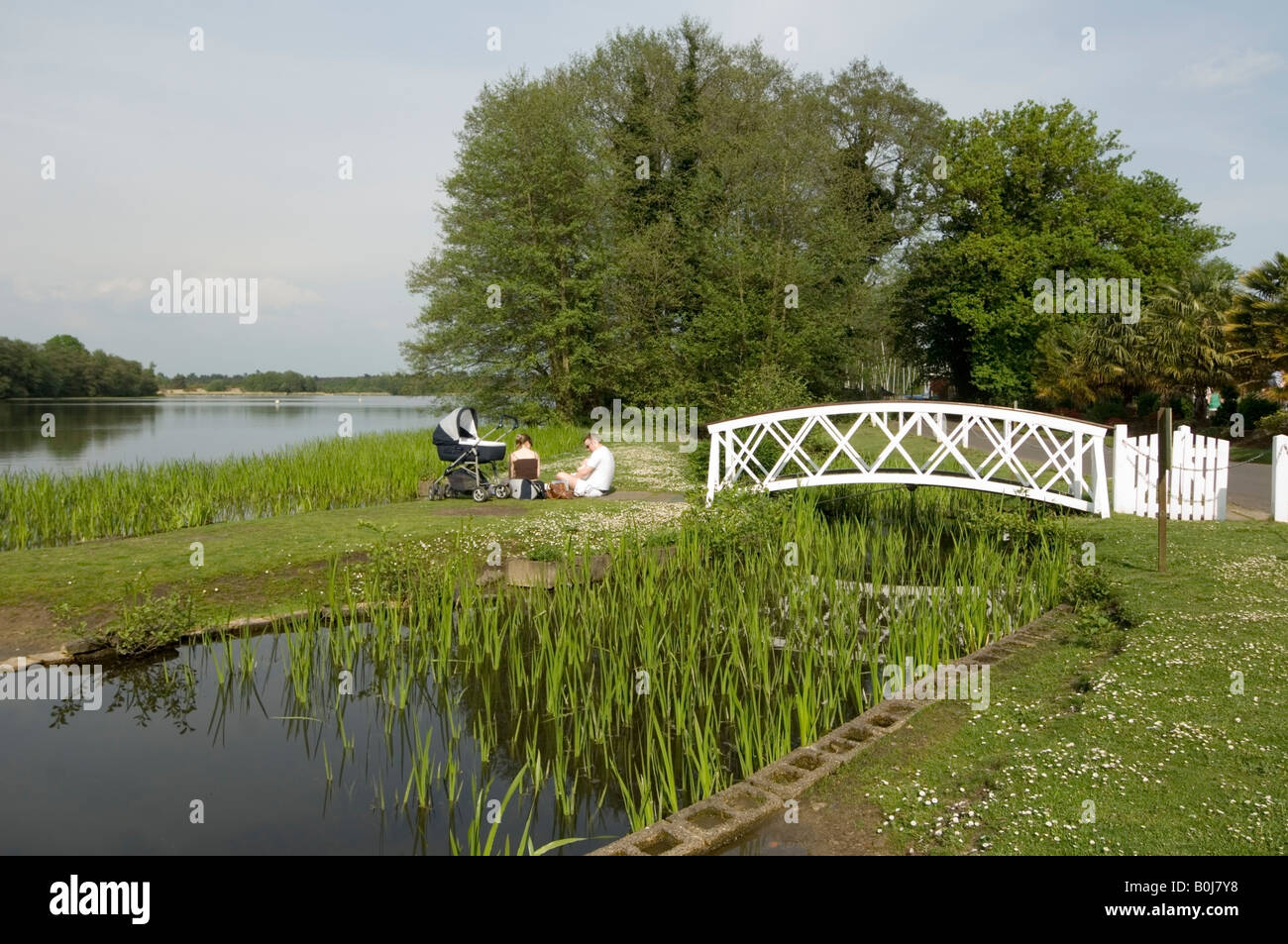 Frensham great pond hi-res stock photography and images - Alamy