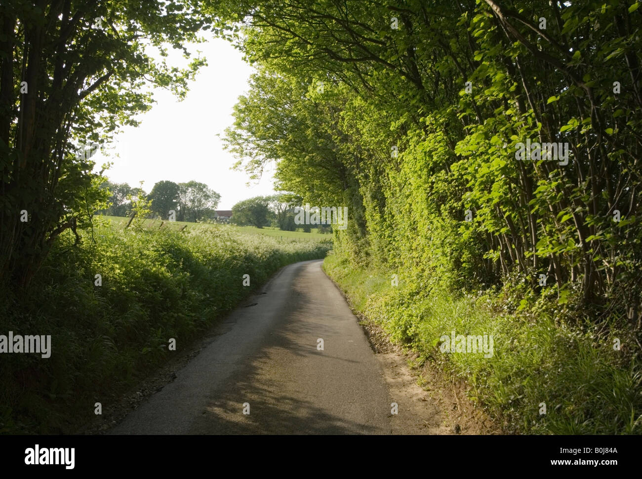 Rural country lane uk hi-res stock photography and images - Alamy