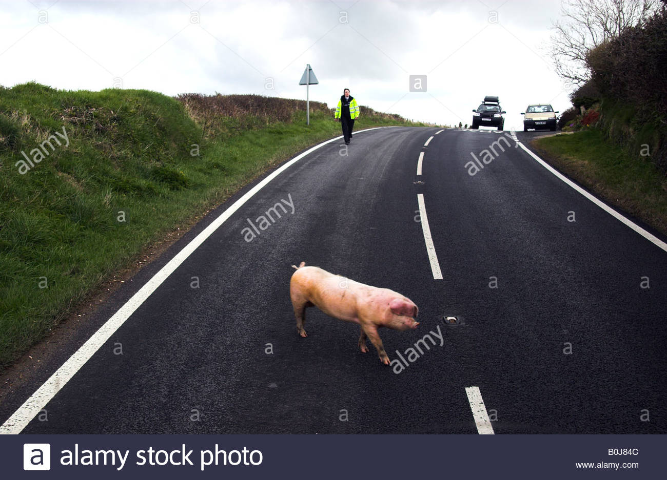 Obstruction Of Highway High Resolution Stock Photography and Images - Alamy