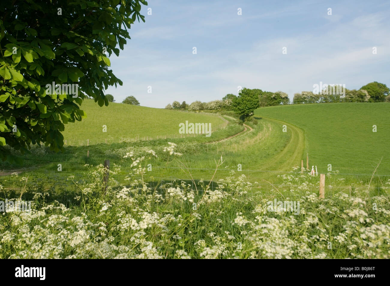 Farmland in Spring Hampshire UK Stock Photo - Alamy