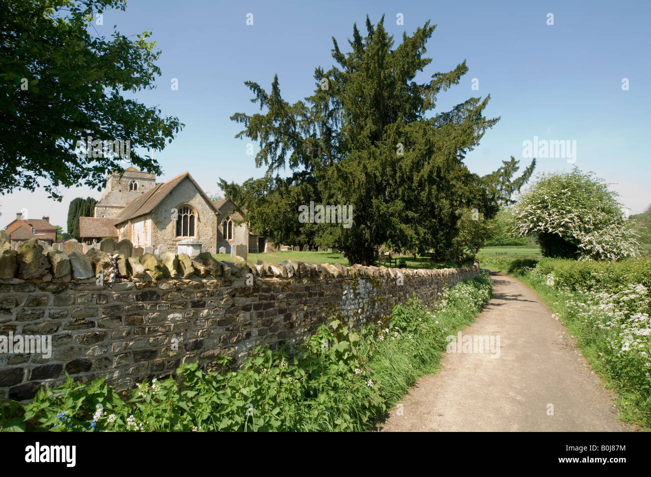 Frensham village hi-res stock photography and images - Alamy