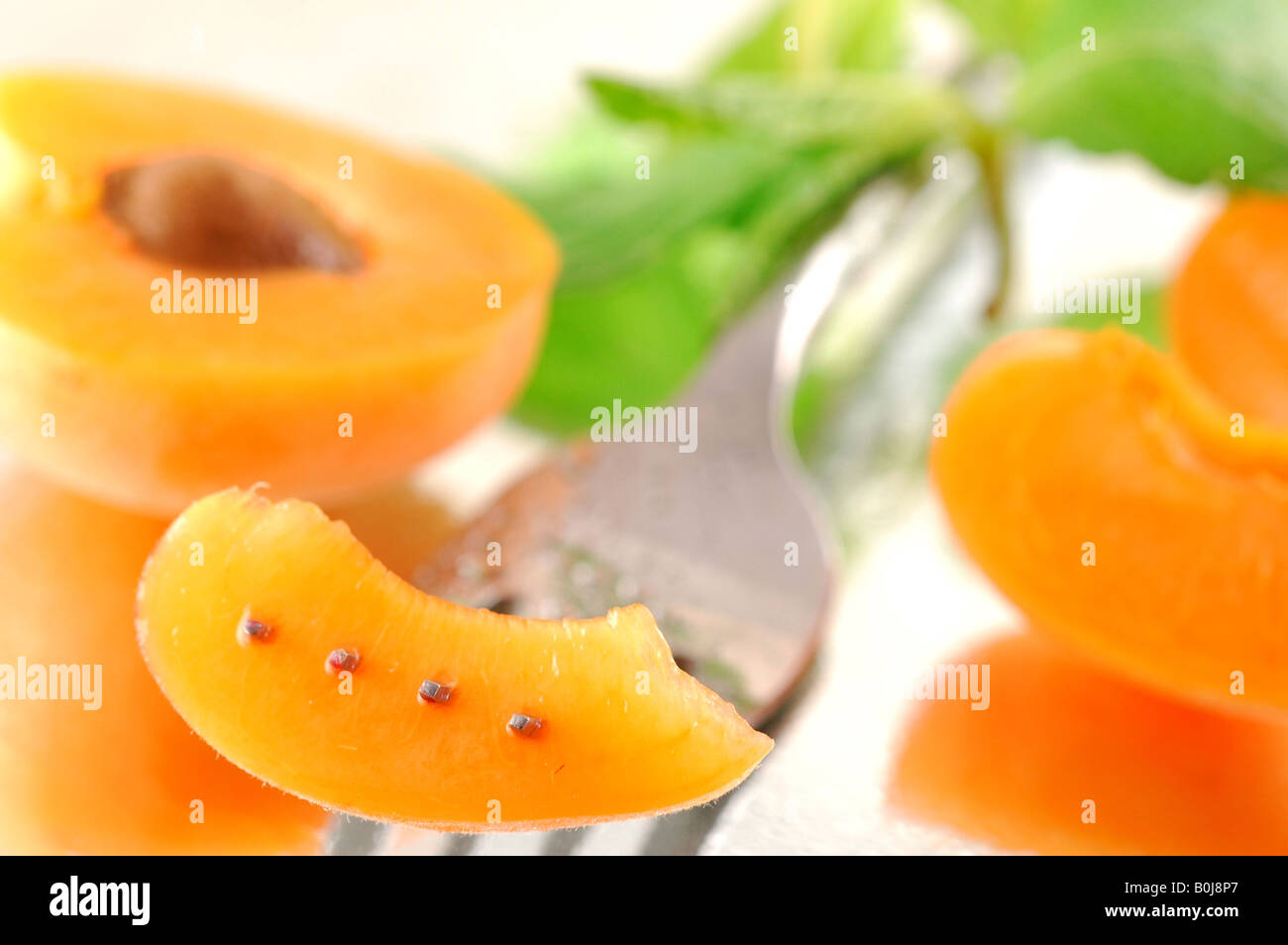 Fresh chilled apricots with mint on a reflective background with a ...