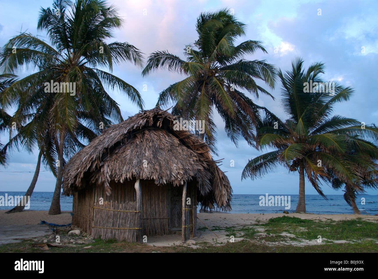 A thatched roof cabana with palm trees and the caribbean ocean on isla ...