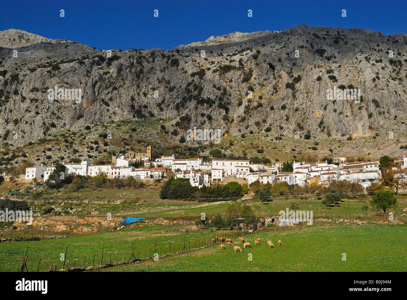 White villaluenga del rosario hi-res stock photography and images - Alamy