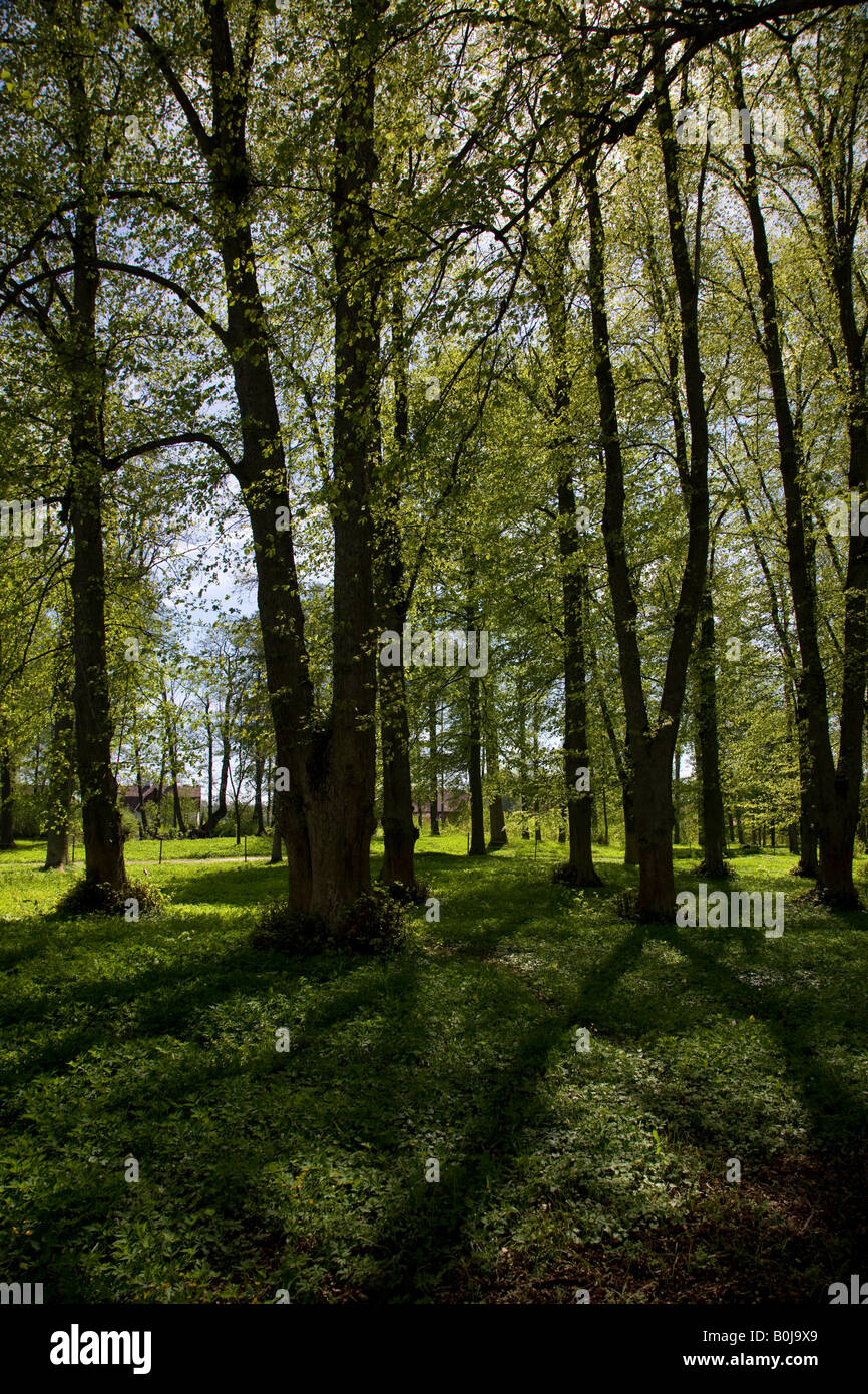 Scandinavia spring hi-res stock photography and images - Alamy