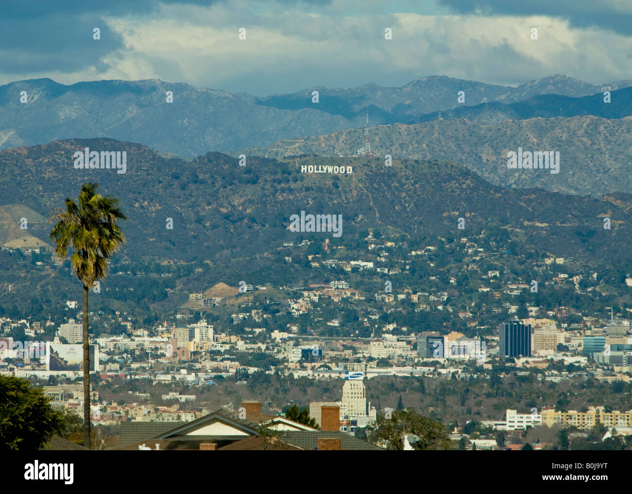 Horizontal image of the Hollywood hills with a palm tree and the ...