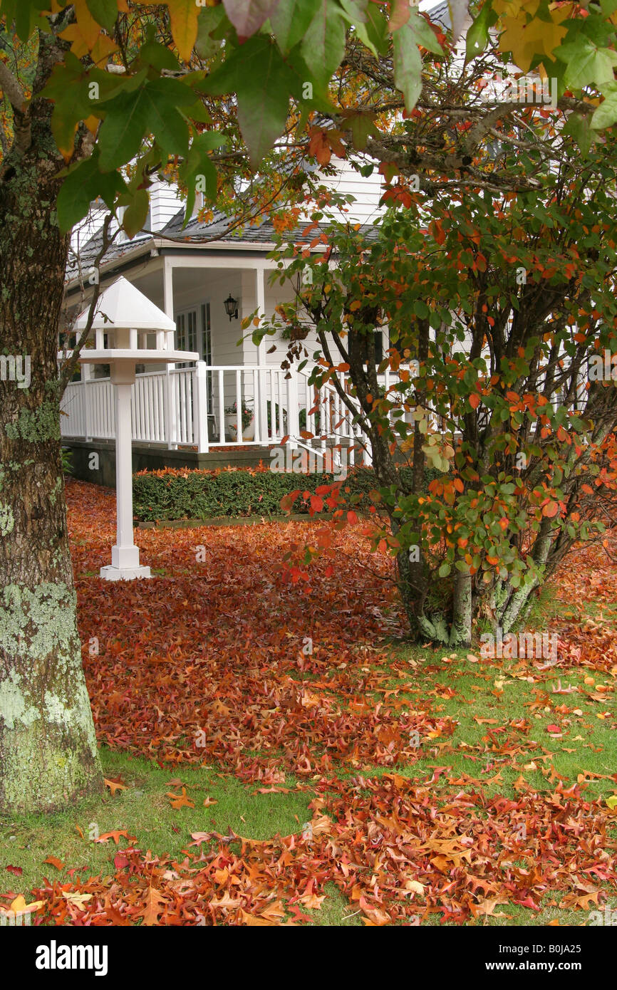 Autumn leaves in the garden of a homestead Stock Photo - Alamy
