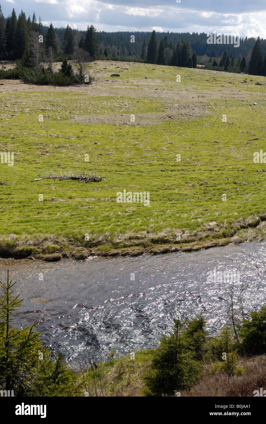 Modrava Sumava National Park Czech Republic Stock Photo - Alamy