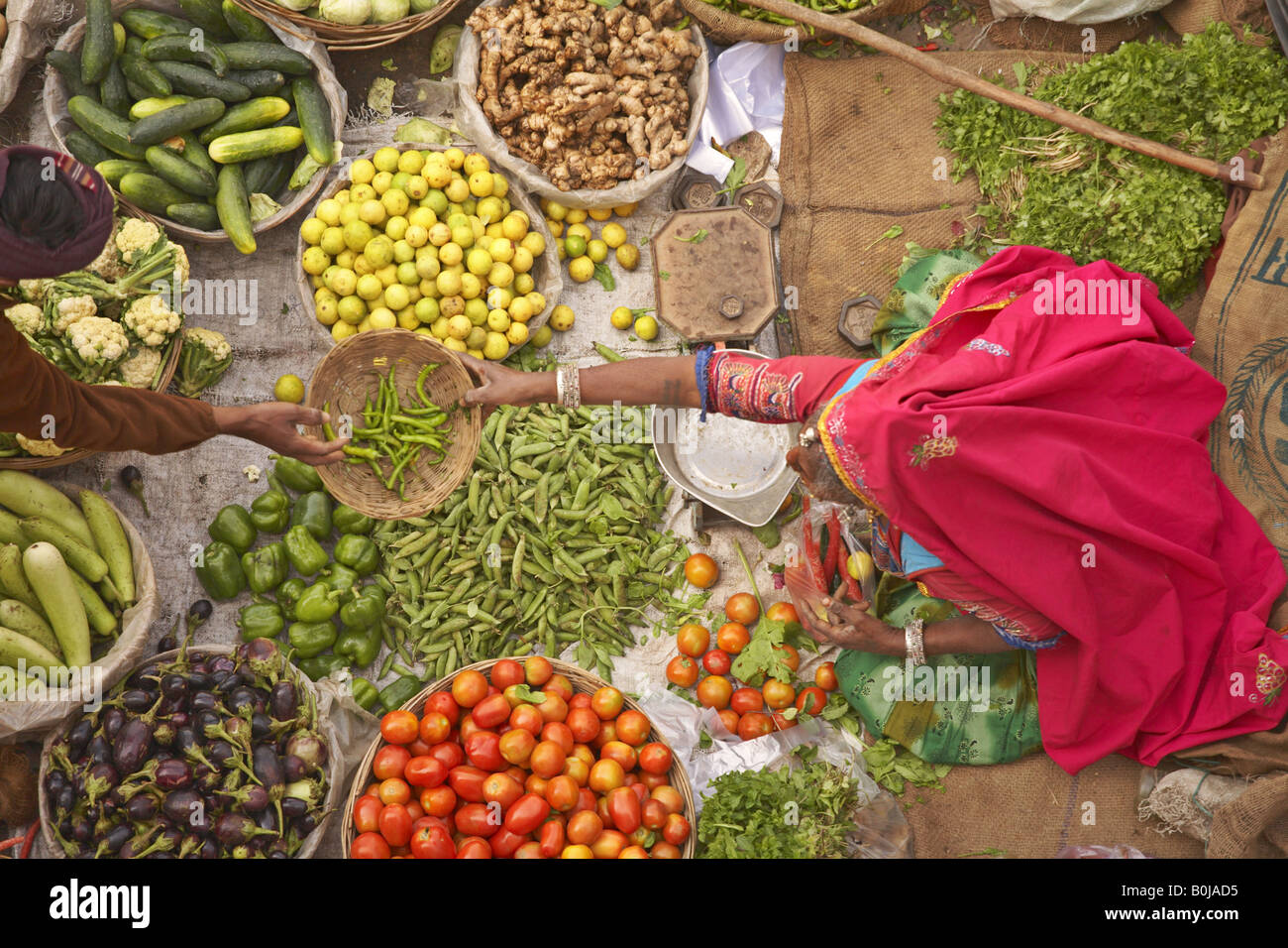 Indian shopkeeper customer in shop hi-res stock photography and images ...