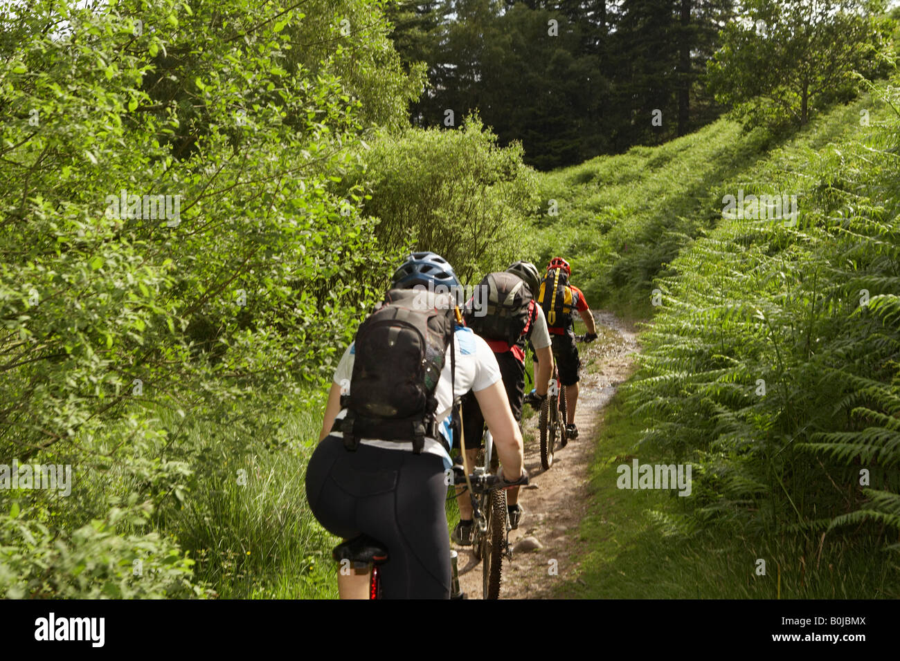Three cyclists on track in countryside Stock Photo - Alamy