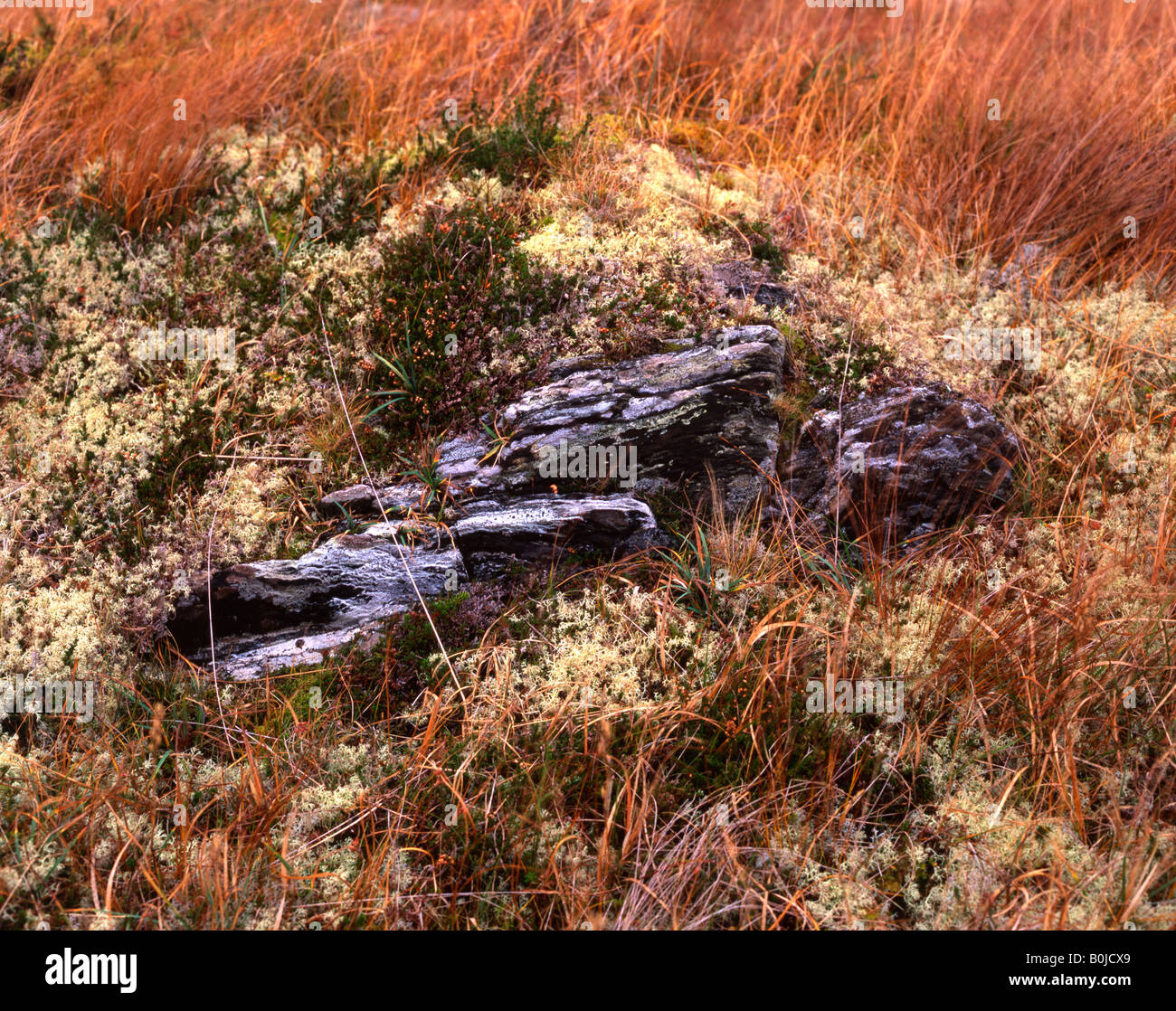 Kilninver hi-res stock photography and images - Alamy