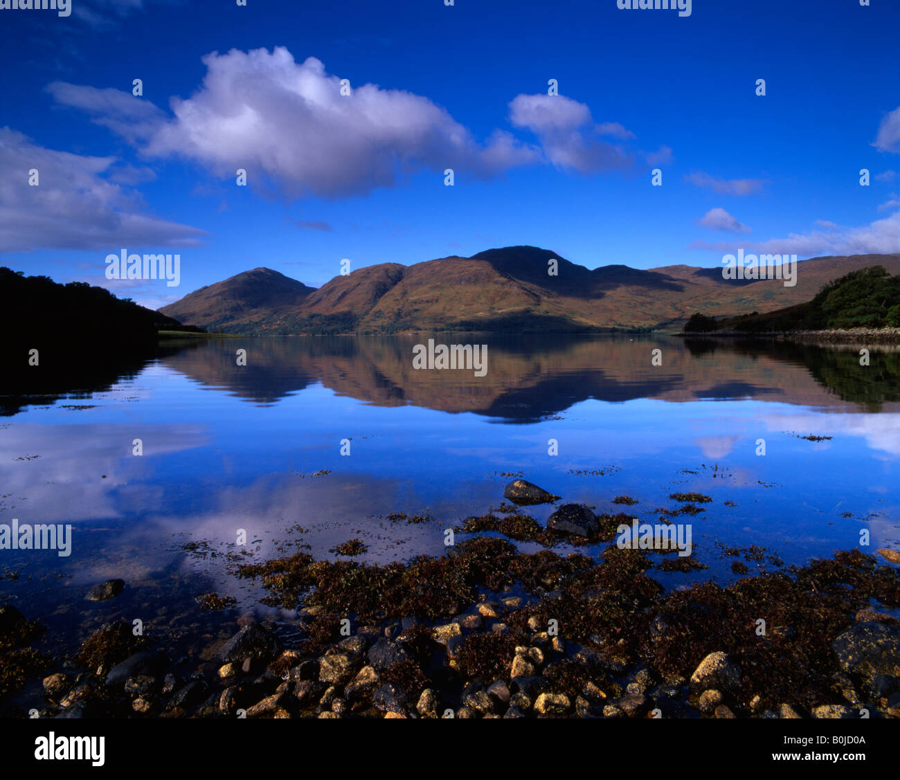 Reflections on Loch Etive, Bonawe, Argyll, Scotland, UK Stock Photo - Alamy