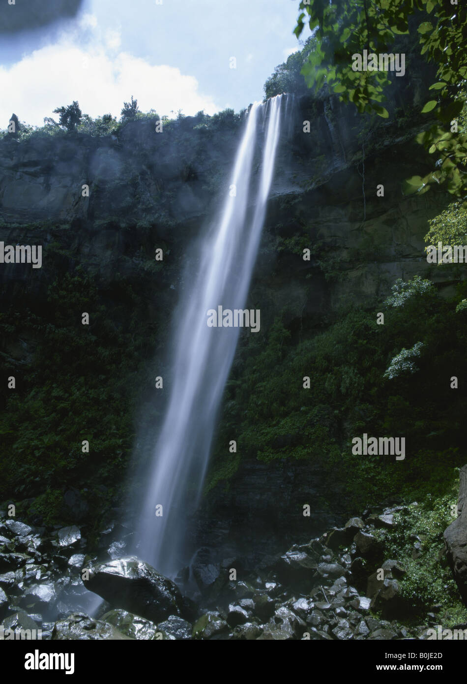 Iriomote okinawa waterfall hi-res stock photography and images - Alamy