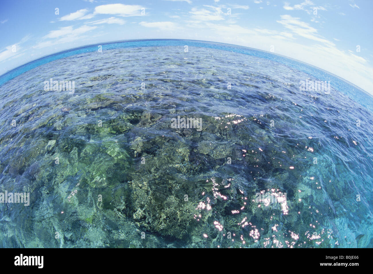 A Coral Reef And A Blue Sky Stock Photo - Alamy