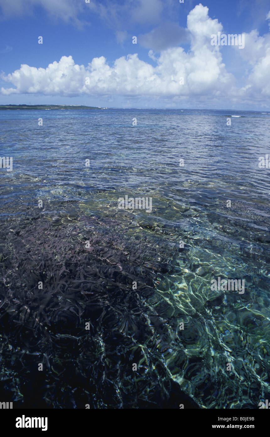 A Blue Sky And A Coral Reef Stock Photo - Alamy