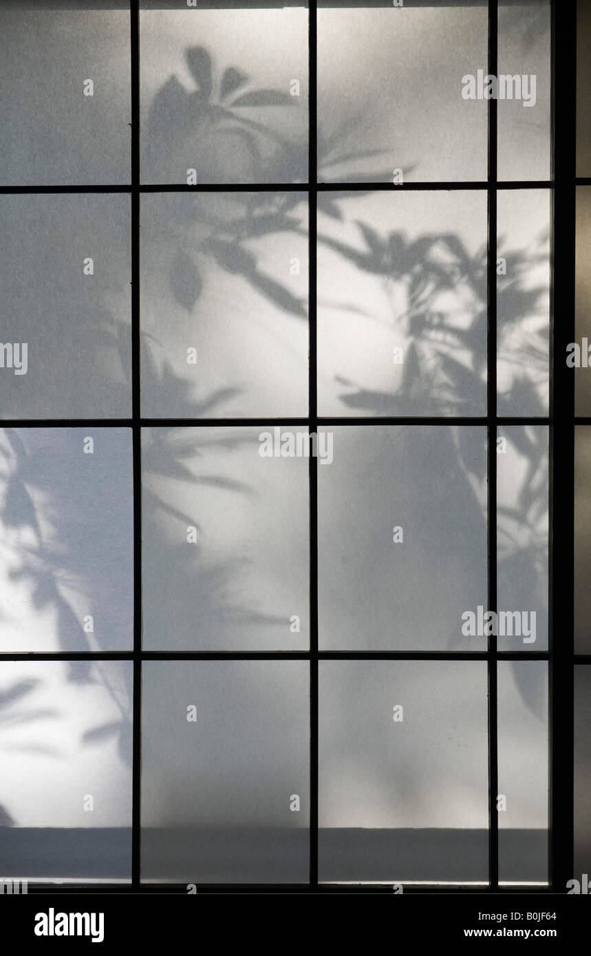Tokyo, Japan. Bamboo leaf shadows on a sliding paper window screen ...