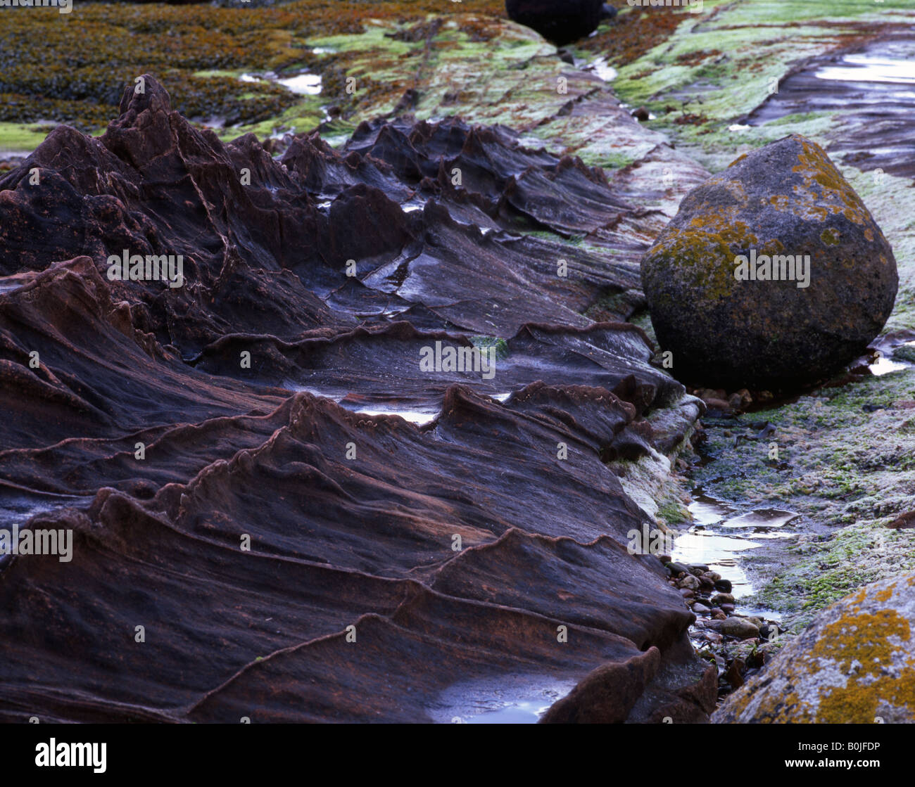 Shore detail, Pirates Cove, Corrie, Arran, Scotland, UK Stock Photo - Alamy