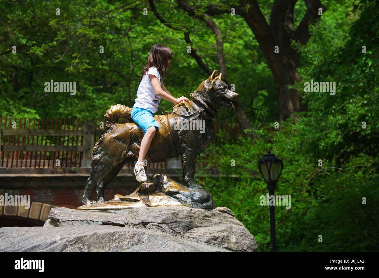 Balto dog hi-res stock photography and images - Alamy