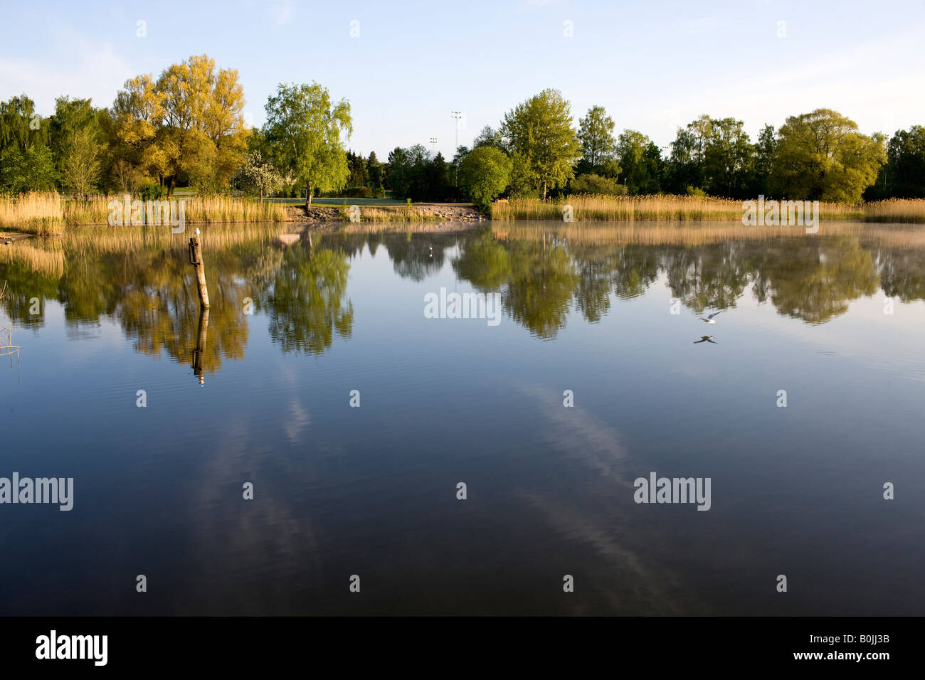 Swedish summer dawn hi-res stock photography and images - Alamy