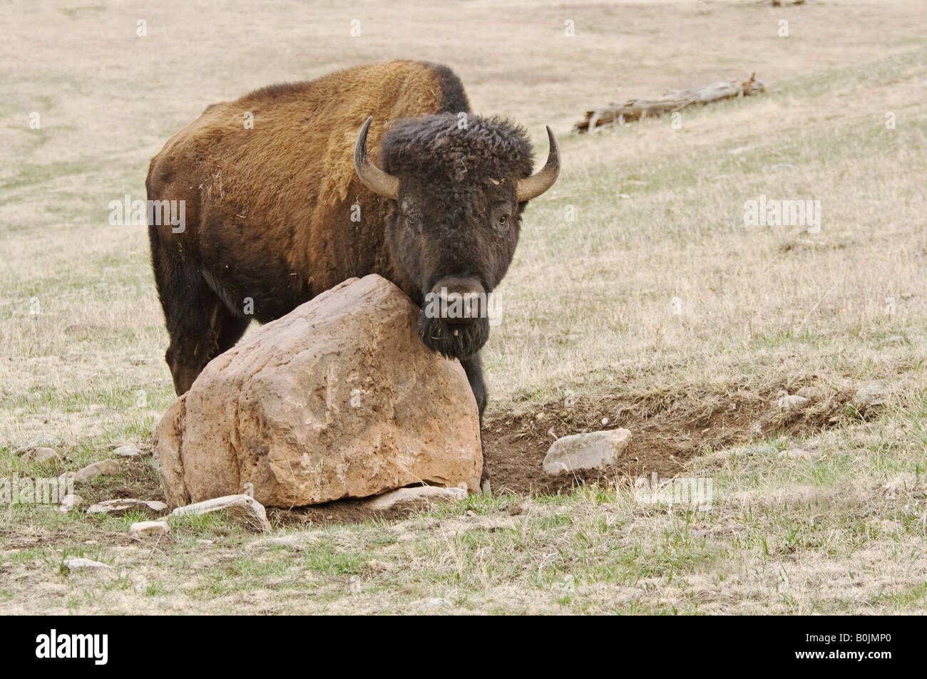 Rock facing hi-res stock photography and images - Alamy