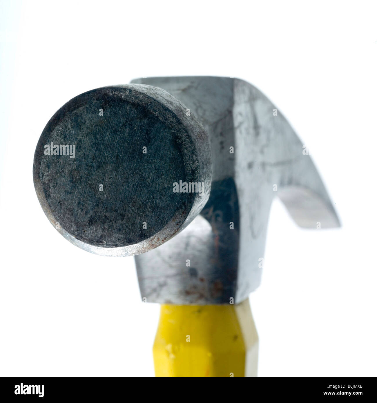extreme close up of hammer head Stock Photo - Alamy