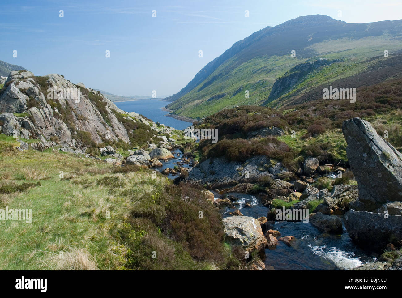 Llyn cowlyd hi-res stock photography and images - Alamy