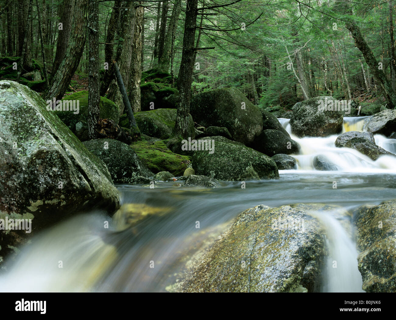 Harvard Brook located in the White Mountain National Forest in New ...