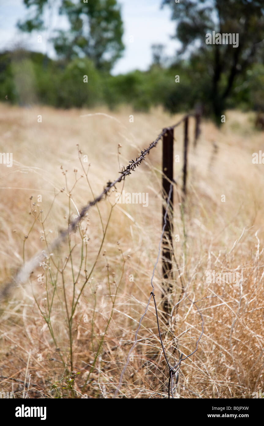 Remote farm in Moree, NSW Stock Photo - Alamy