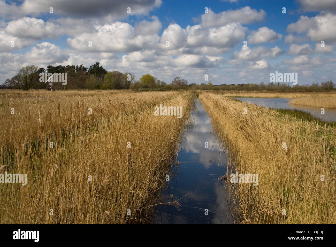 Clayrack Drainage Mill on the River Ant at How Hill Norfolk Broads ...