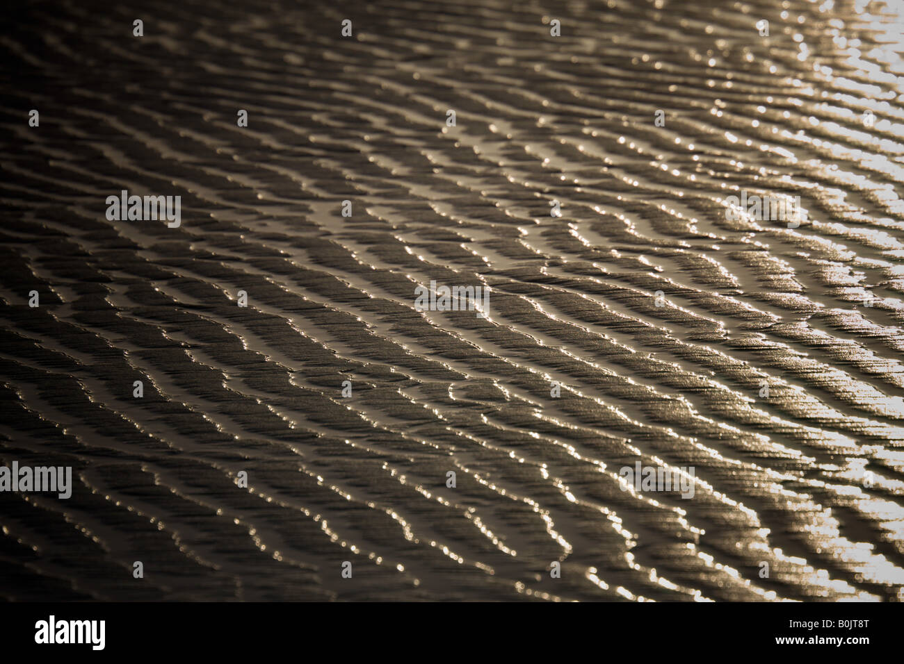 Ribbed patterns hi-res stock photography and images - Alamy