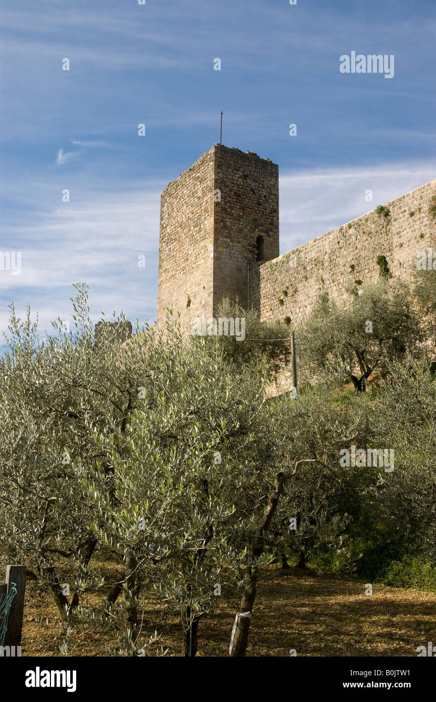 Outside of the walls of the hilltop walled village of Monteriggioni in ...