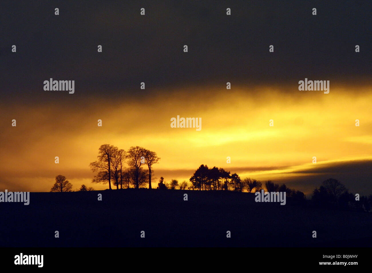 Sunset with glowing sky over trees, Somerset Stock Photo - Alamy