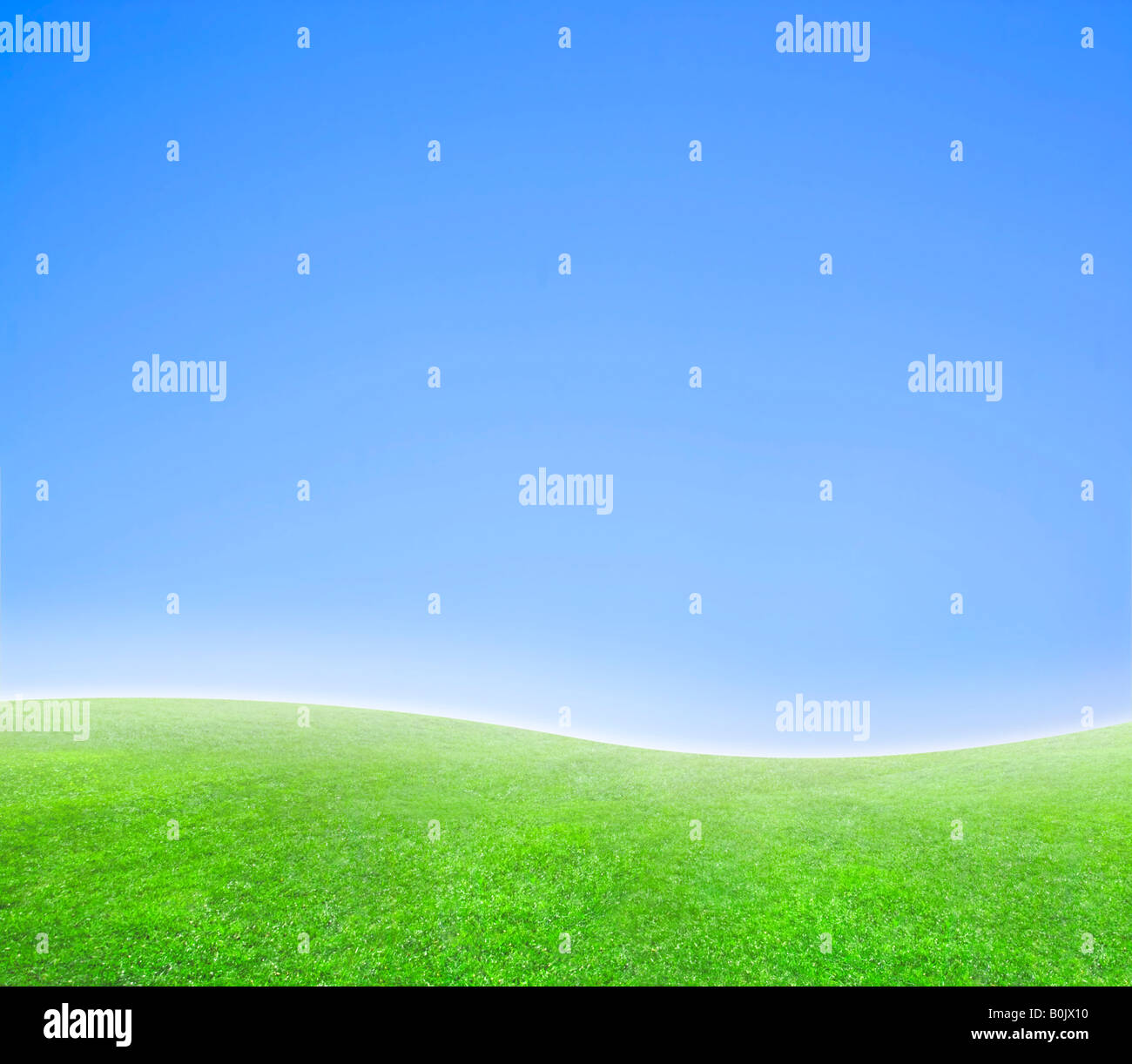 A simple tranquil beautiful S curved horizon with blue sky and green ...