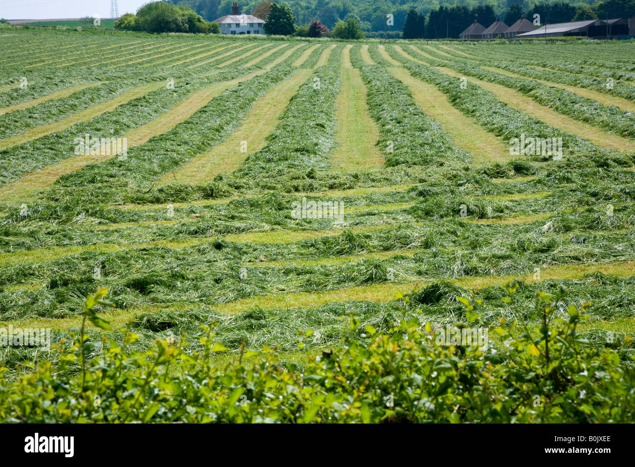 Cut lines hi-res stock photography and images - Alamy