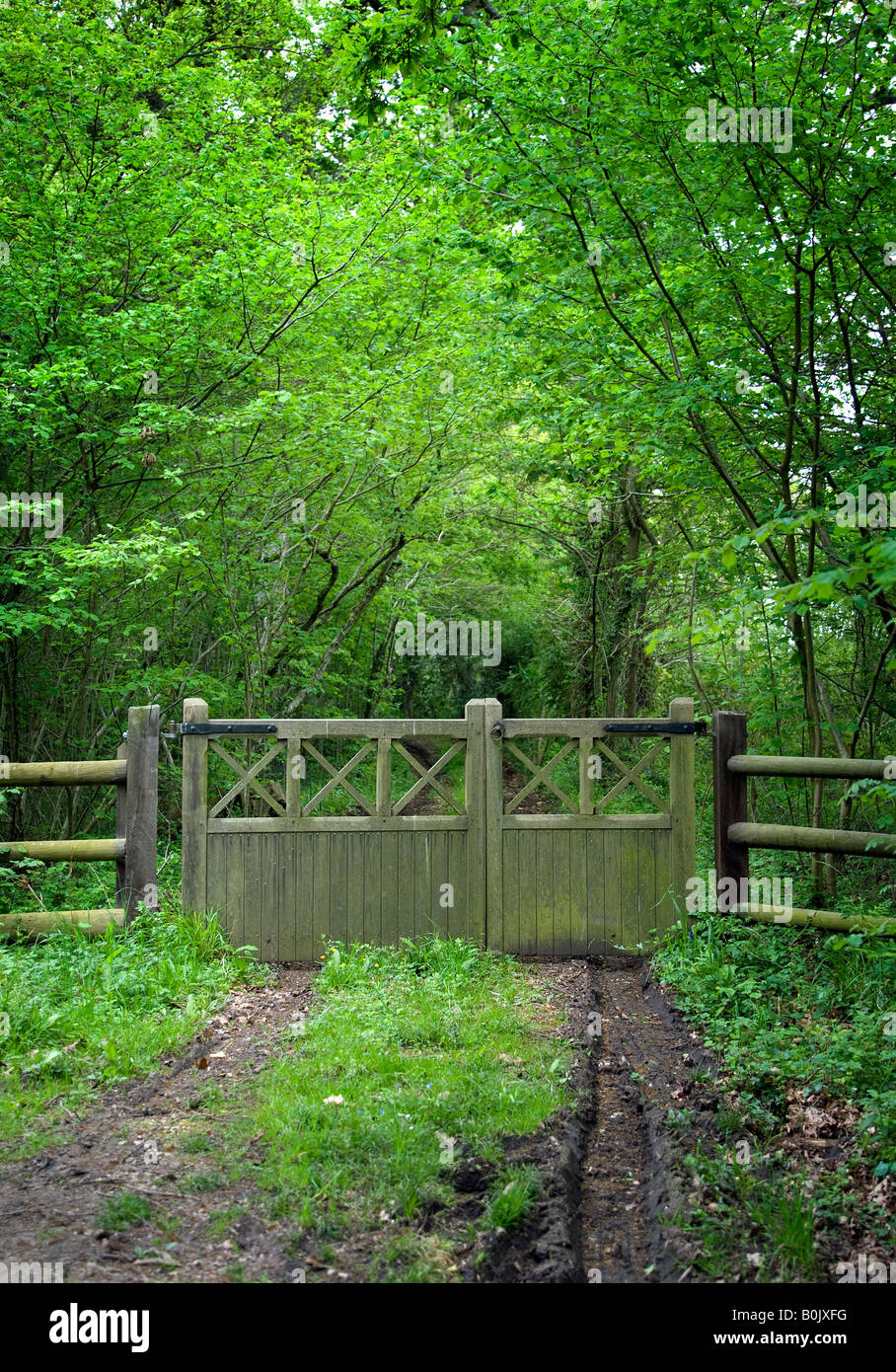 5 cross country wooden gate at entrance to private track leading to ...